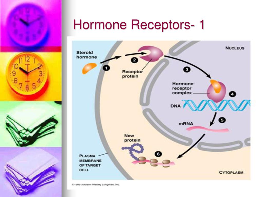 Communication And Cell Signalling Ppt Download