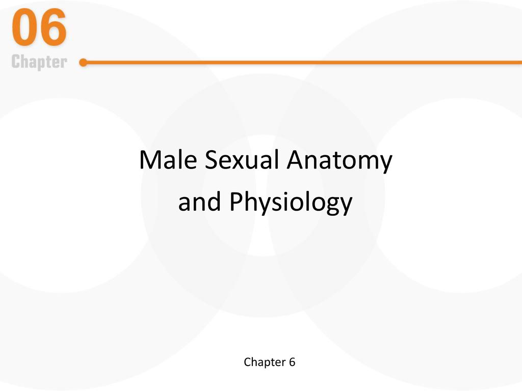 Male Sexual Anatomy And Physiology Ppt Download