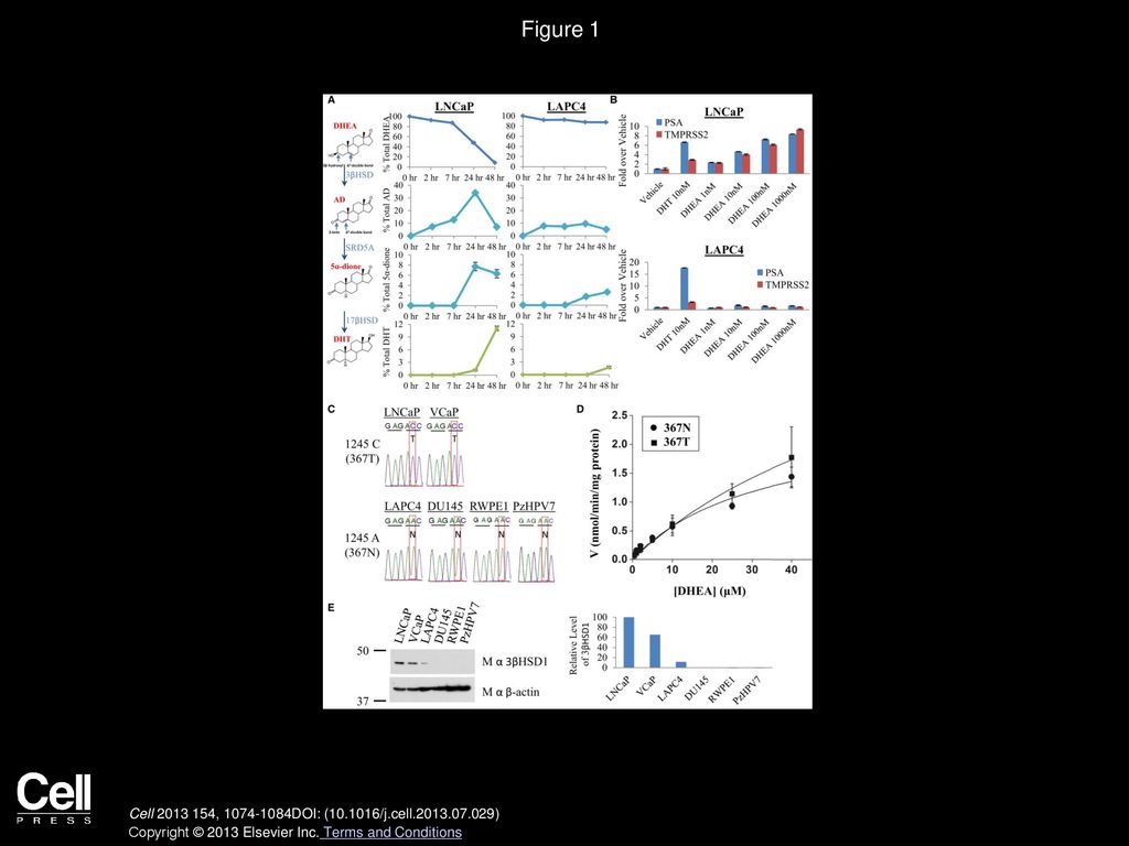 Volume 154 Issue 5 Pages August 2013 Ppt Download