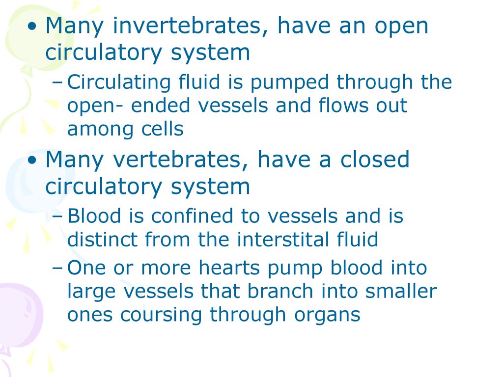Vertebrates Have A Closed Circulatory System Crayfish lab Vertebrates Have A Closed Circulatory System Crayfish lab