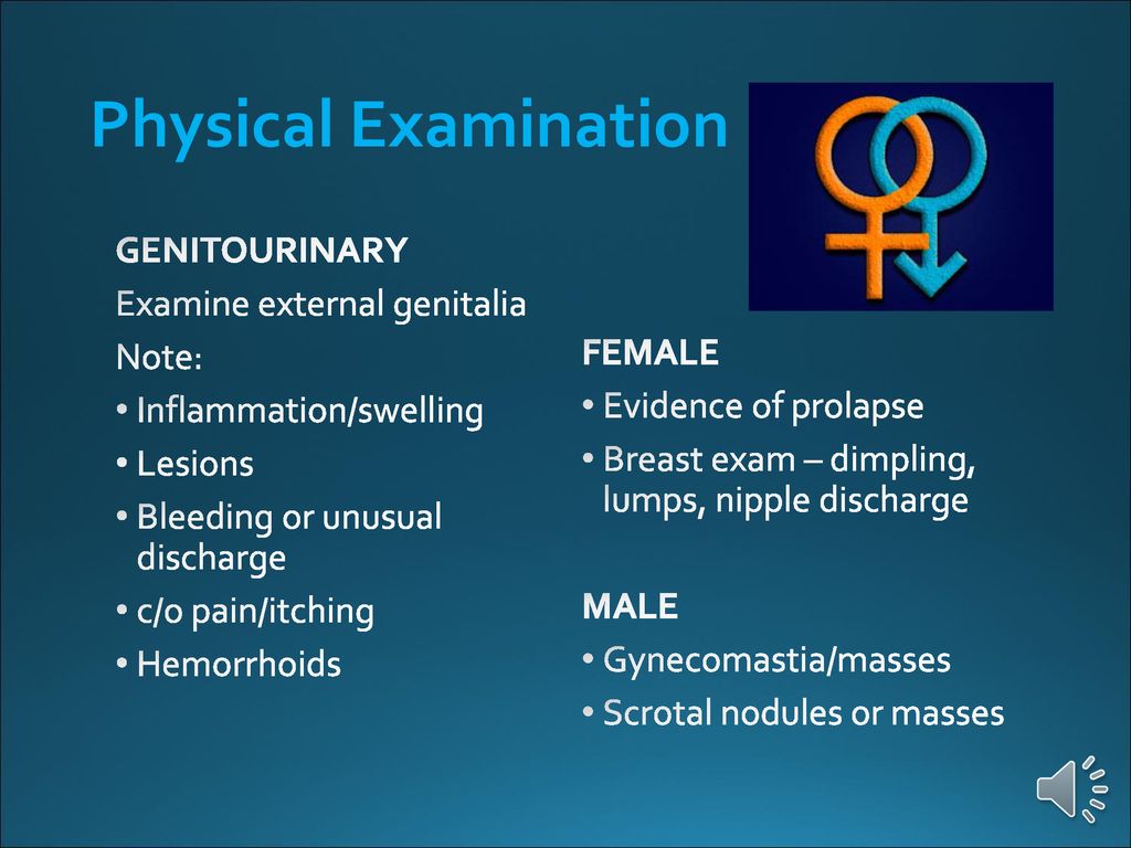 Genitourinary Exam