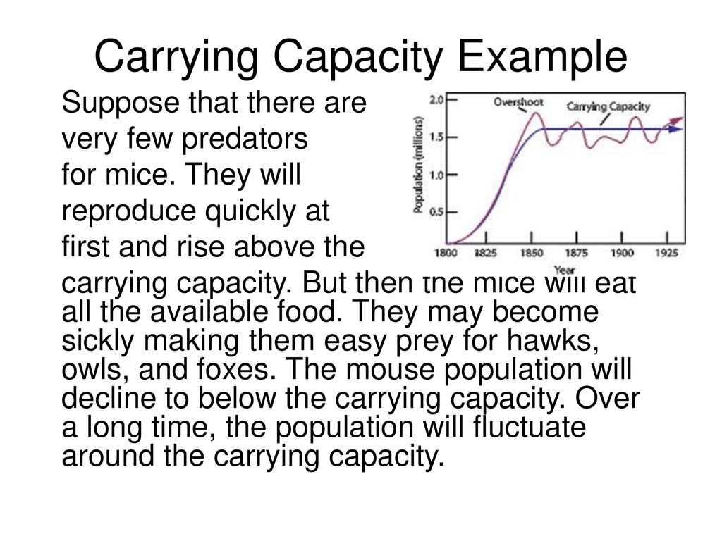 Populations And Carrying Capacity Ppt Download
