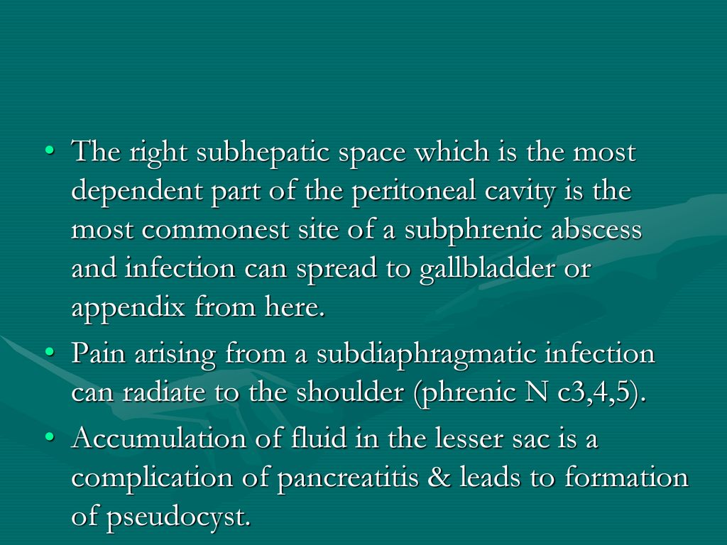 Peritoneal Spaces And Recesses Ppt Download