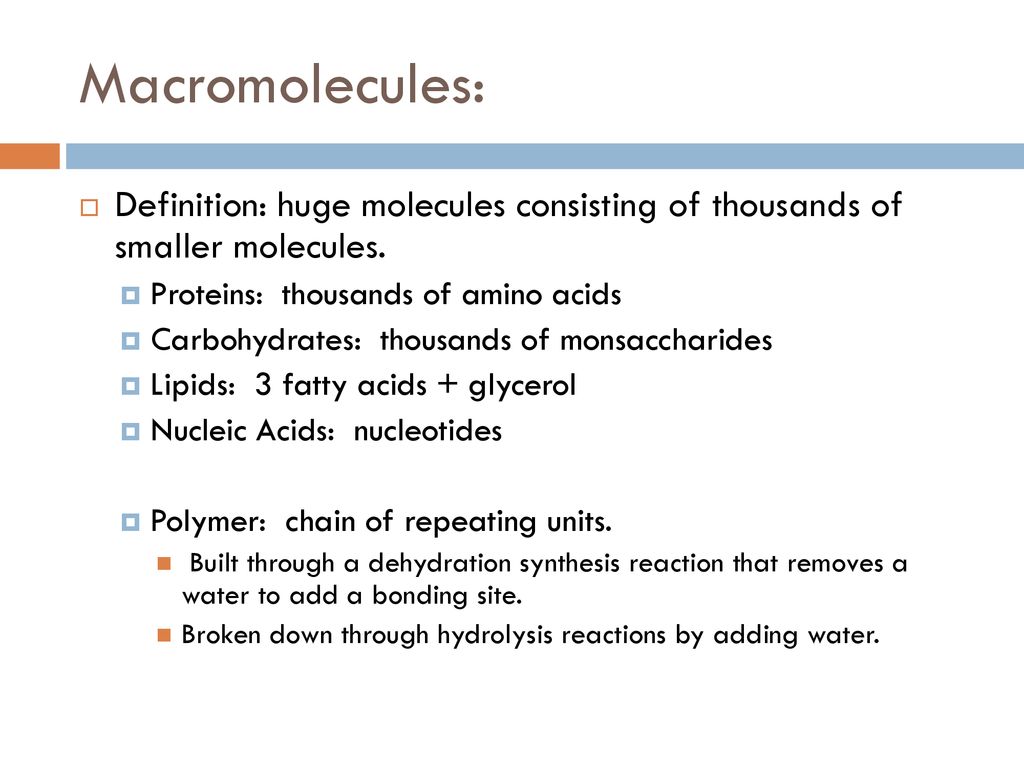 Macromolecule Definition