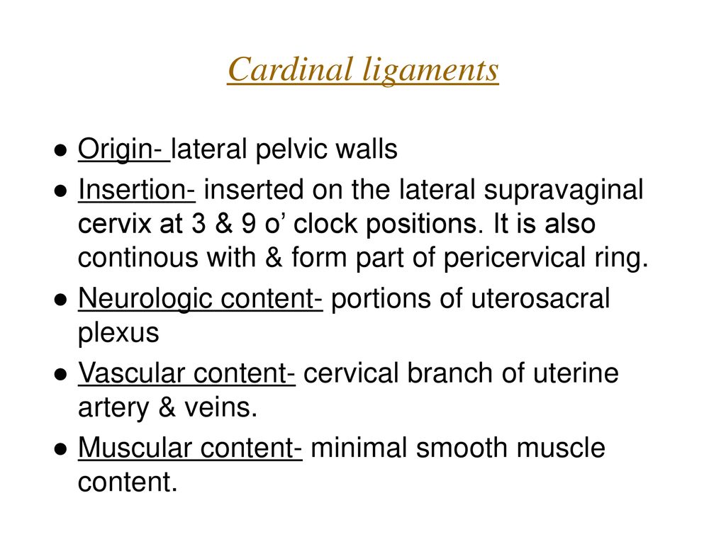 Uterus A Pear Shaped Thick Walled Muscular Organ Ppt Download