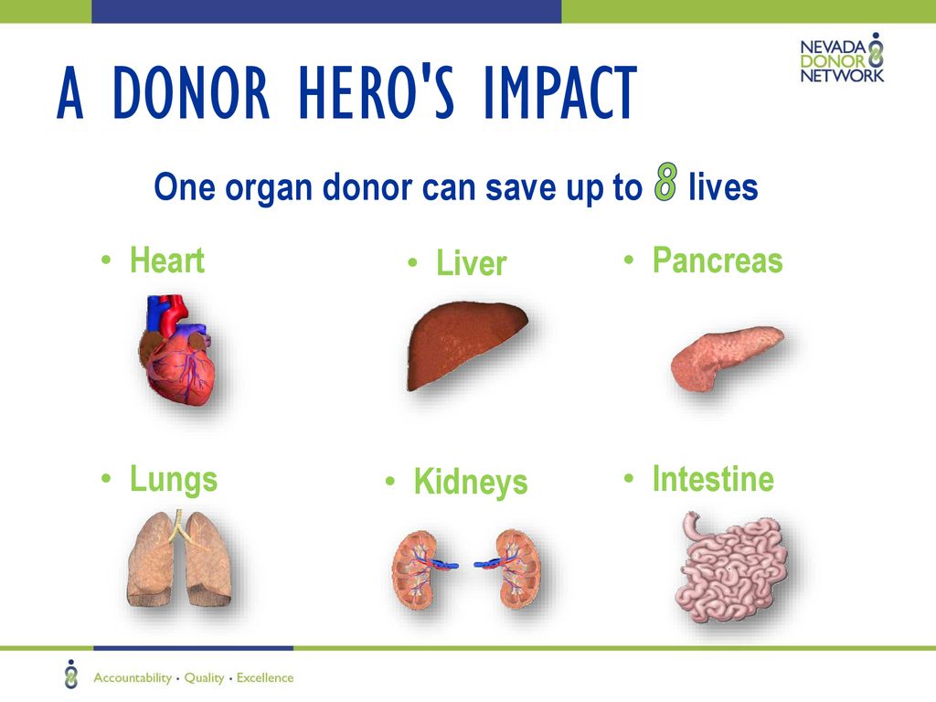 Saving Lives Through Organ Eye And Tissue Donation Ppt Download