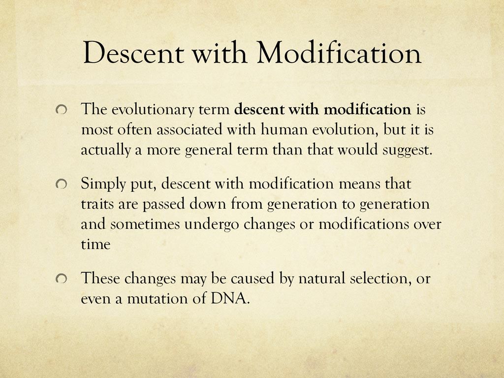 Descent With Modification Definition Descent With Modification Definition