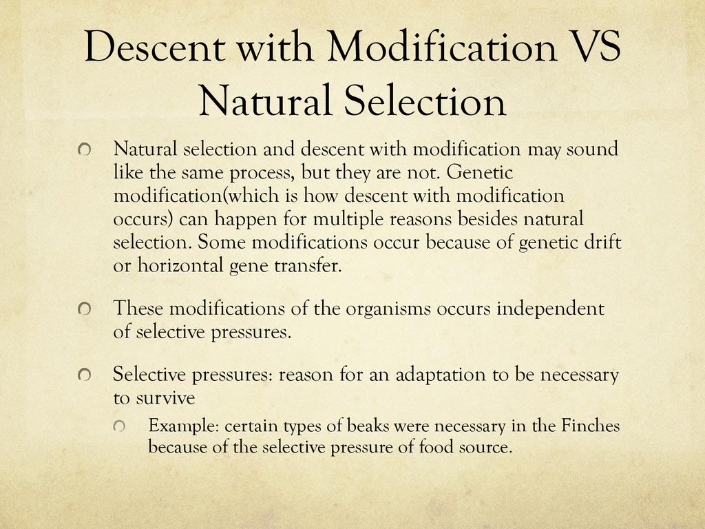 Descent With Modification Definition Descent With Modification Definition
