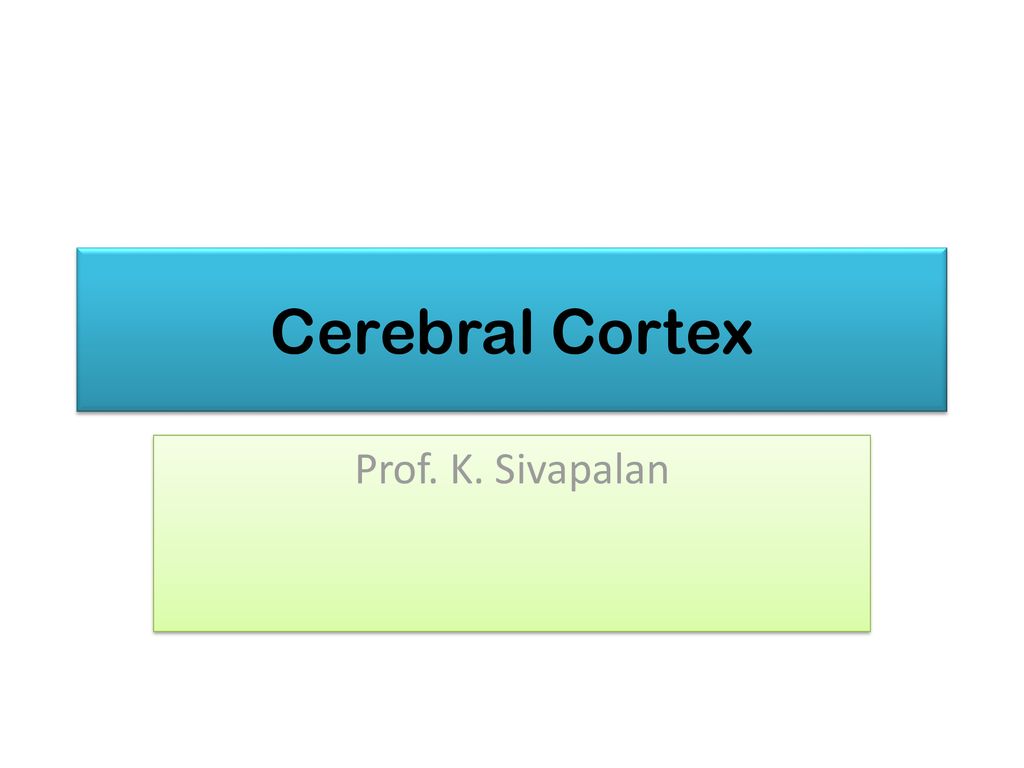 Cerebral Cortex Prof. K. Sivapalan. - ppt download
