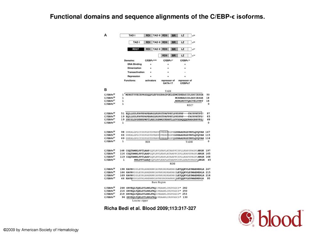 Human C Ebp ϵ Activator And Repressor Isoforms Differentially Reprogram