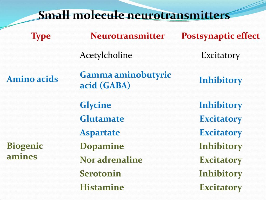 Types Of Neurotransmitters Types Of Neurotransmitters