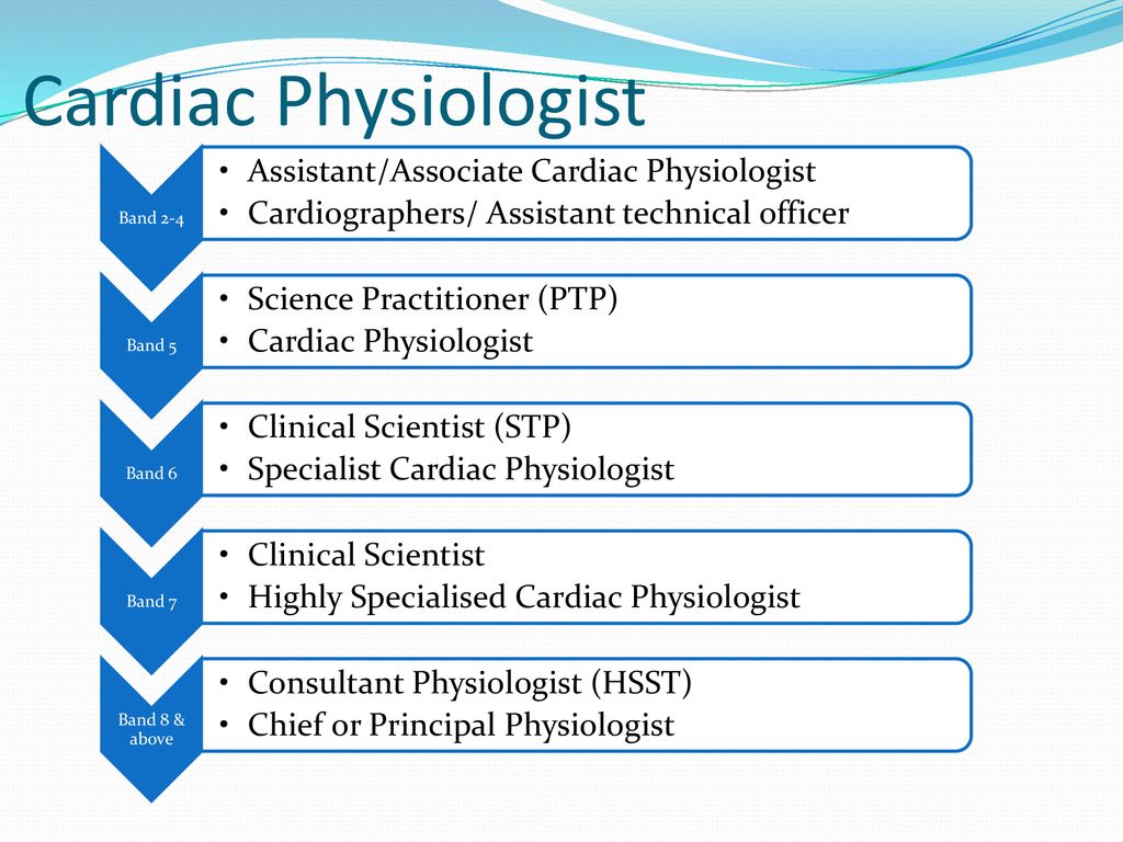 Healthcare Science And Me Ppt Download