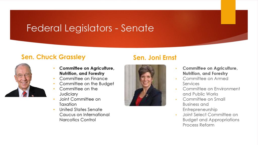 Legislative Involvement And Advocacy Ppt Download