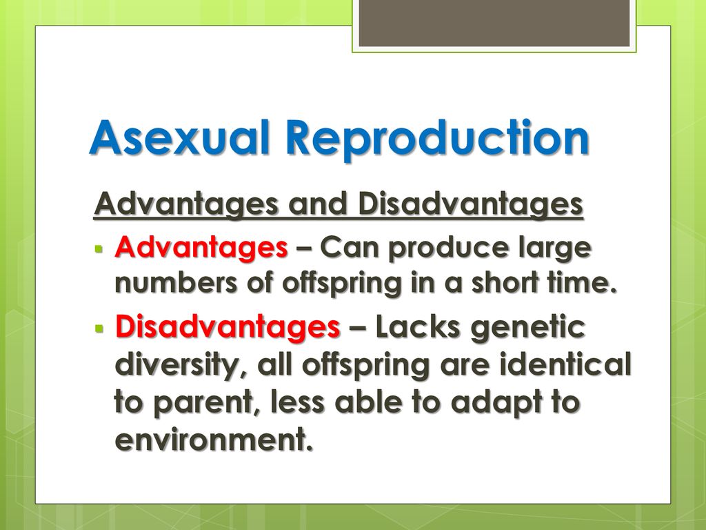 Asexual And Sexual Reproduction Ppt Download