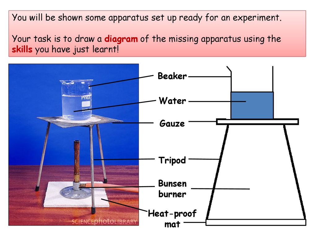 Bunsen Burner Setup Bunsen Burner Setup