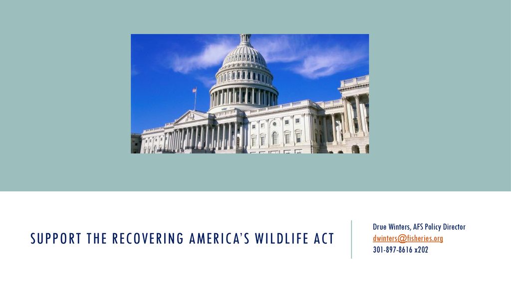 Support The Recovering Americas Wildlife Act Ppt Download