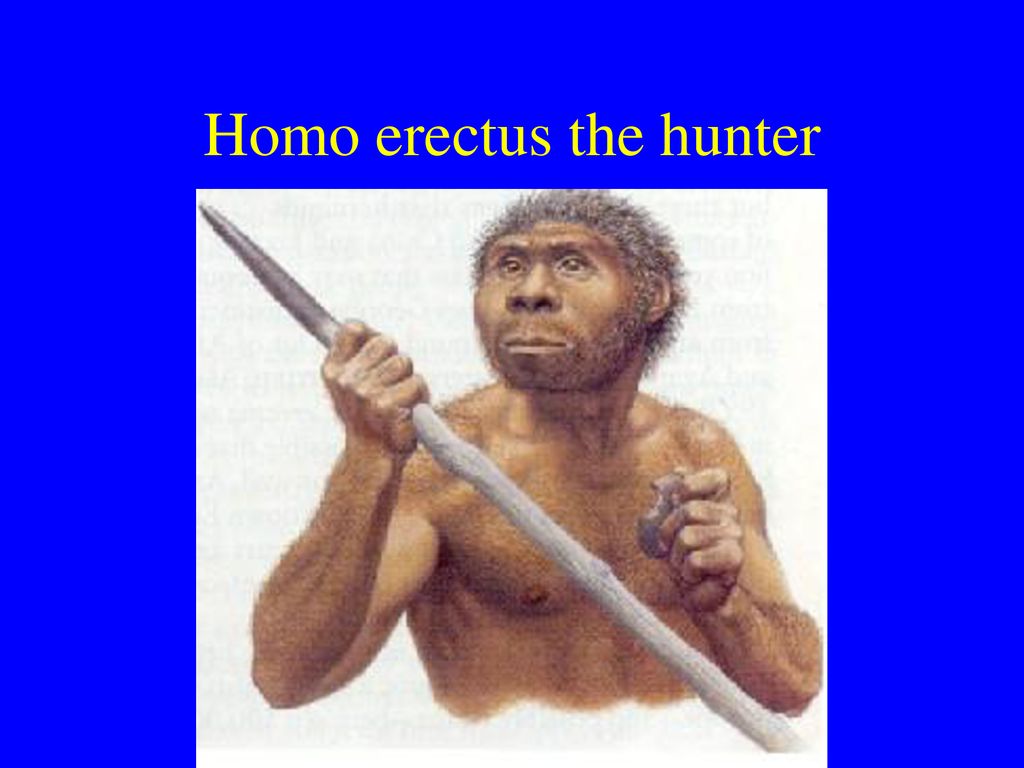 Religion And Human Evolution Ppt Download