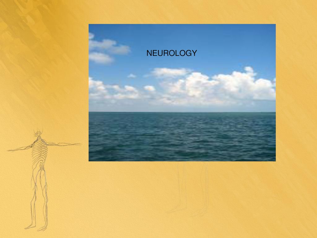 NEUROLOGY IN ICU Dr.Ravi Srinivasan. - ppt download
