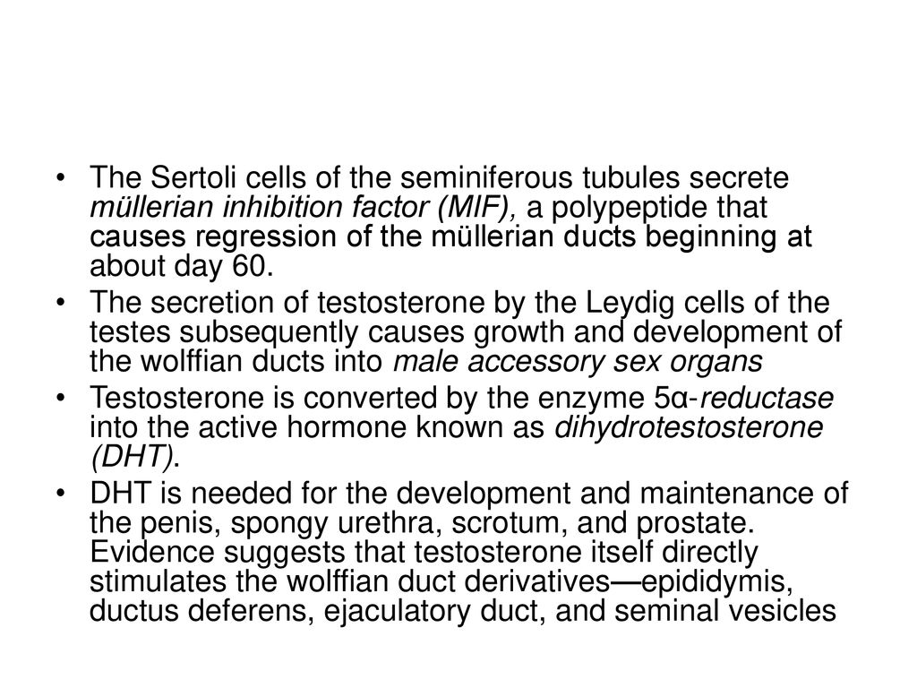 Reproduction Physiology Ppt Download