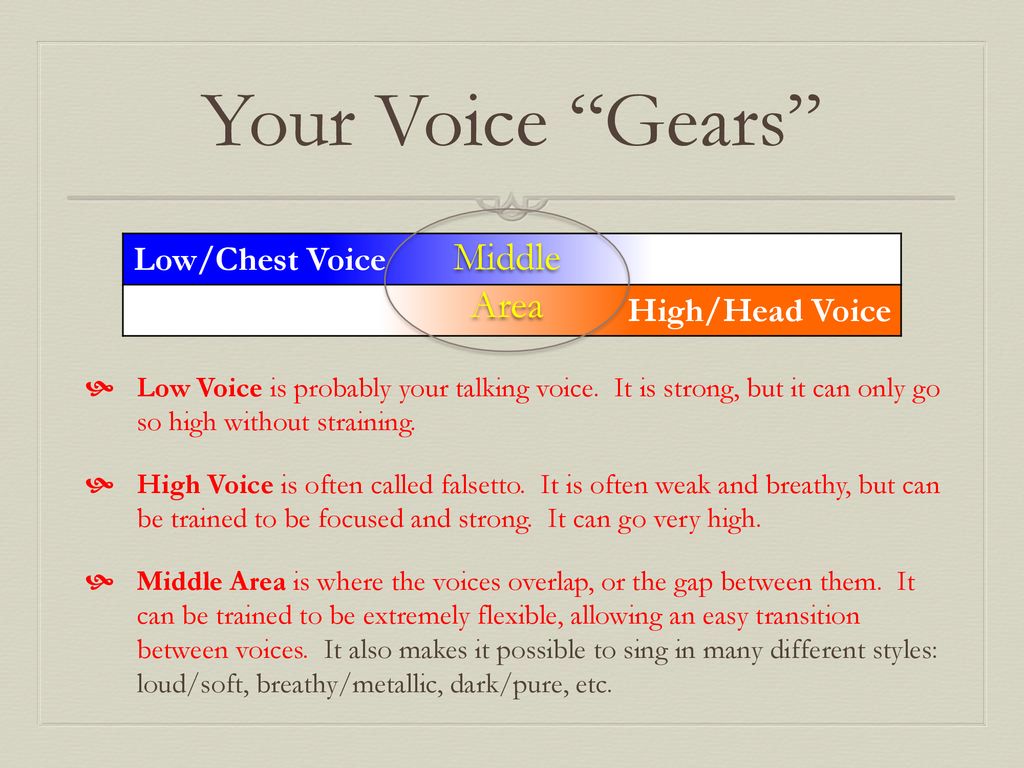 Placement Vocal Techniques Part Ppt Download