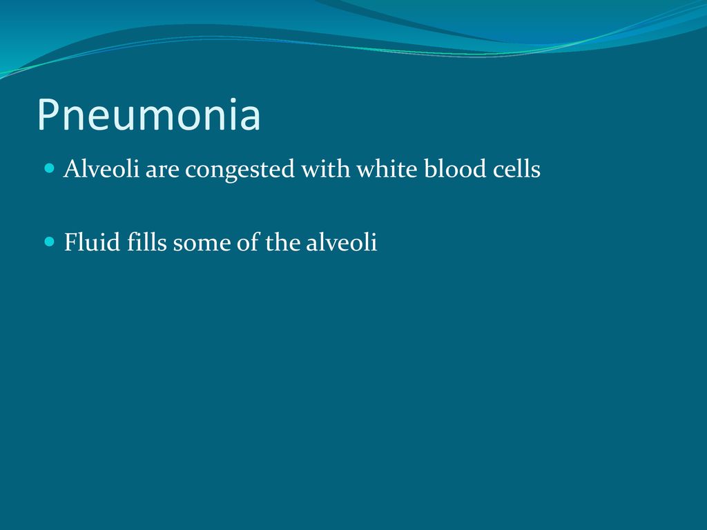 Pathology Lab Practical Review Ppt Download