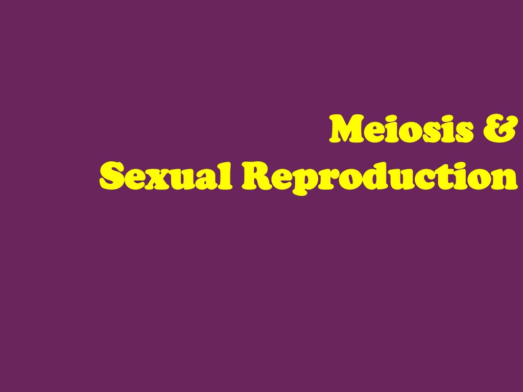 Meiosis And Sexual Reproduction Ppt Download