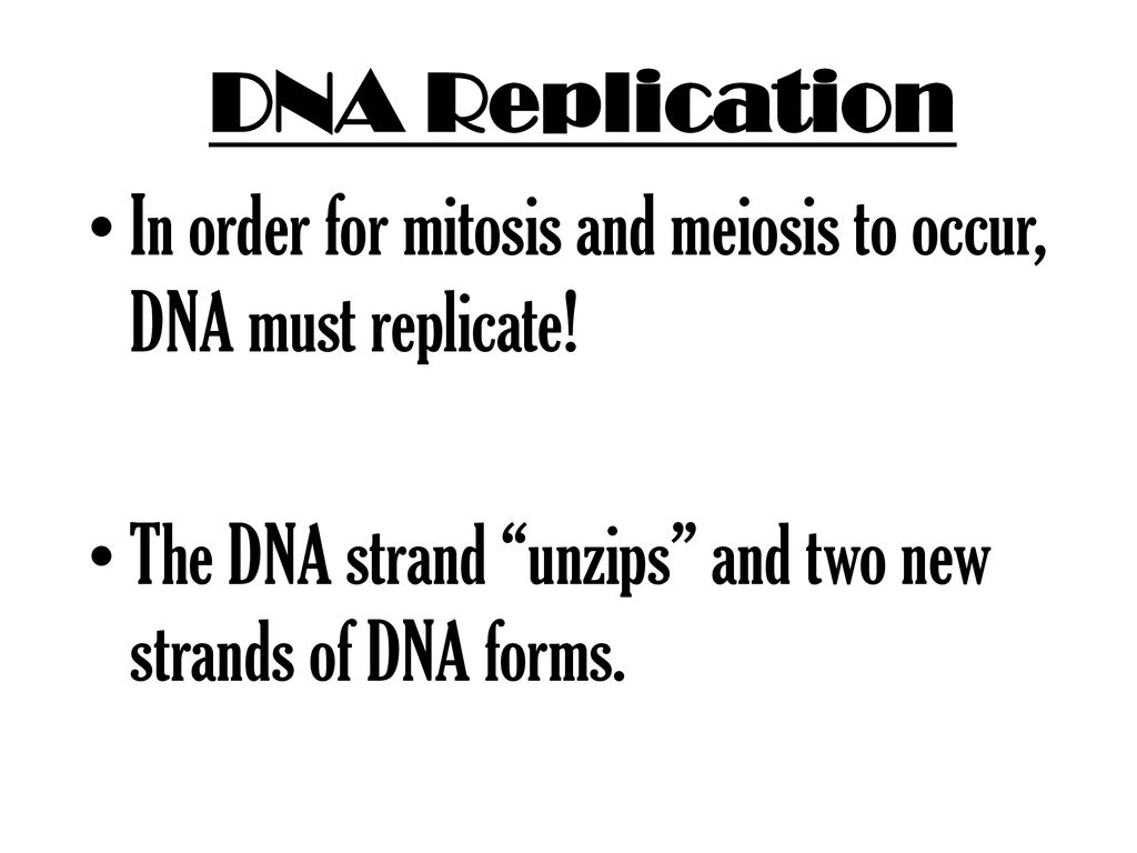 Meiosis Dna Structure And Mutations Ppt Download