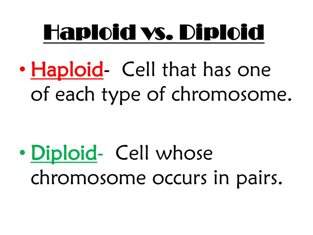 Meiosis Dna Structure And Mutations Ppt Download