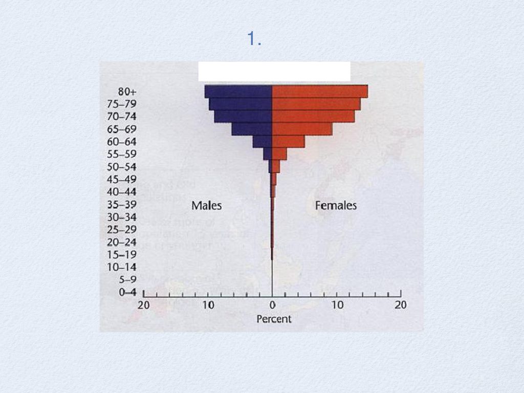 Population Pyramids Age Sex Graphs Ppt Download