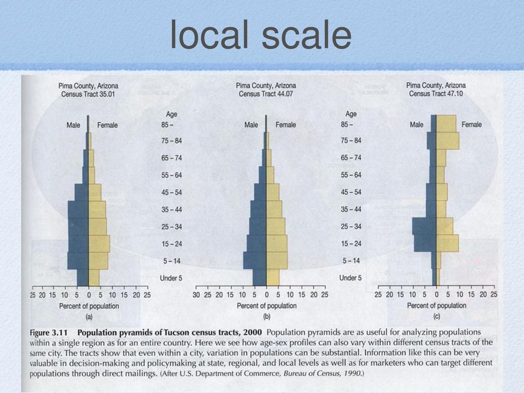 Population Pyramids Age Sex Graphs Ppt Download