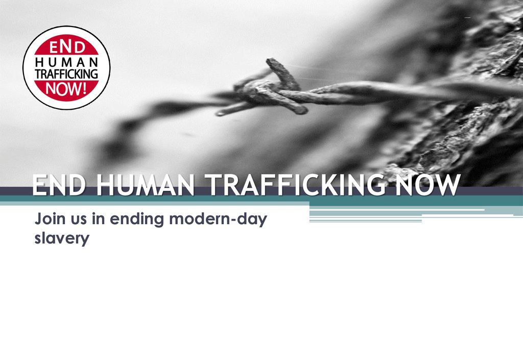 End Human Trafficking Now Ppt Download