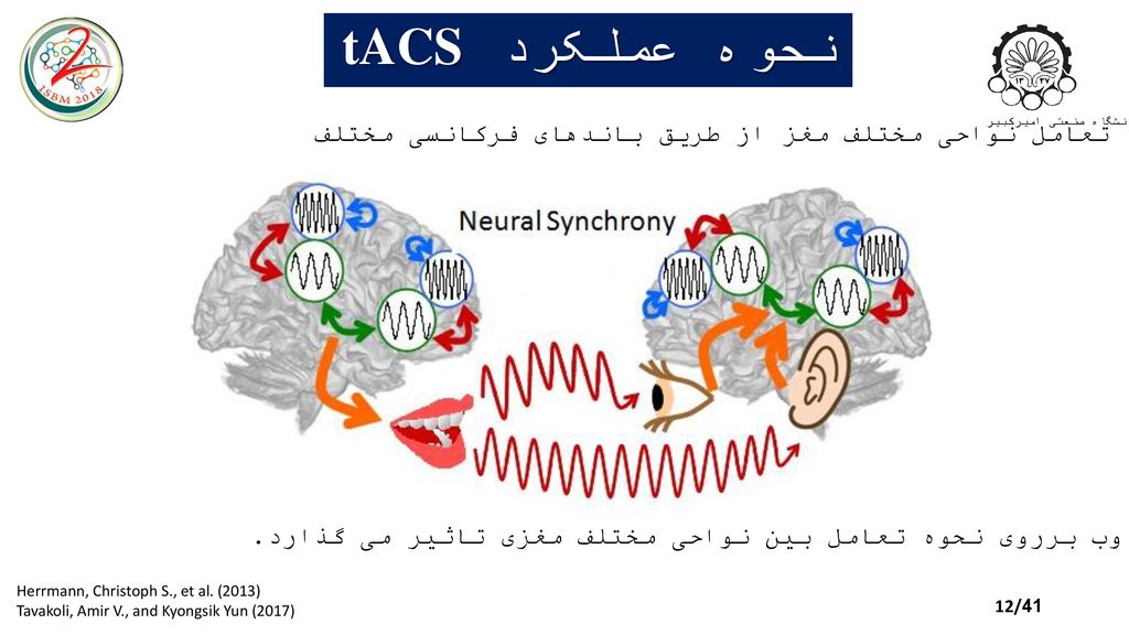 تحریک الکتریکی فراجمجمه ای و فعالیت های عصب شناختی Ppt Download