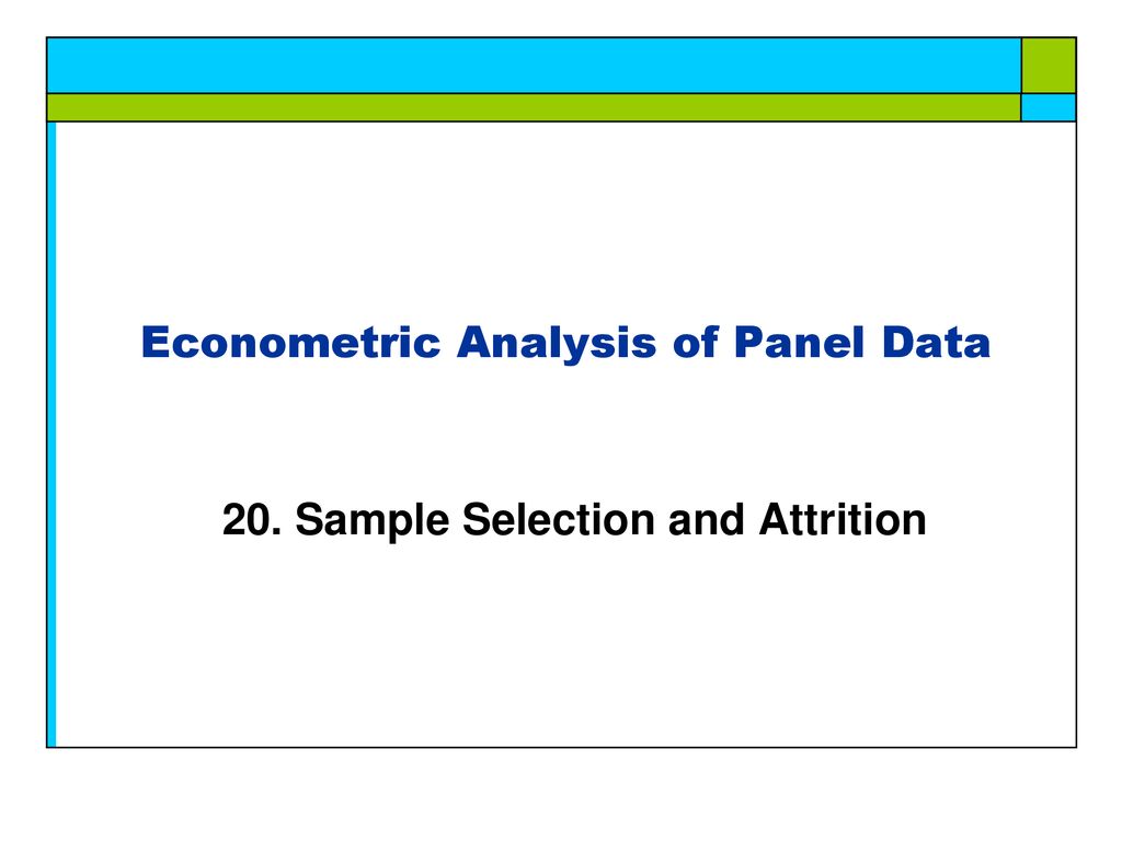 Econometric Analysis Of Panel Data Ppt Download