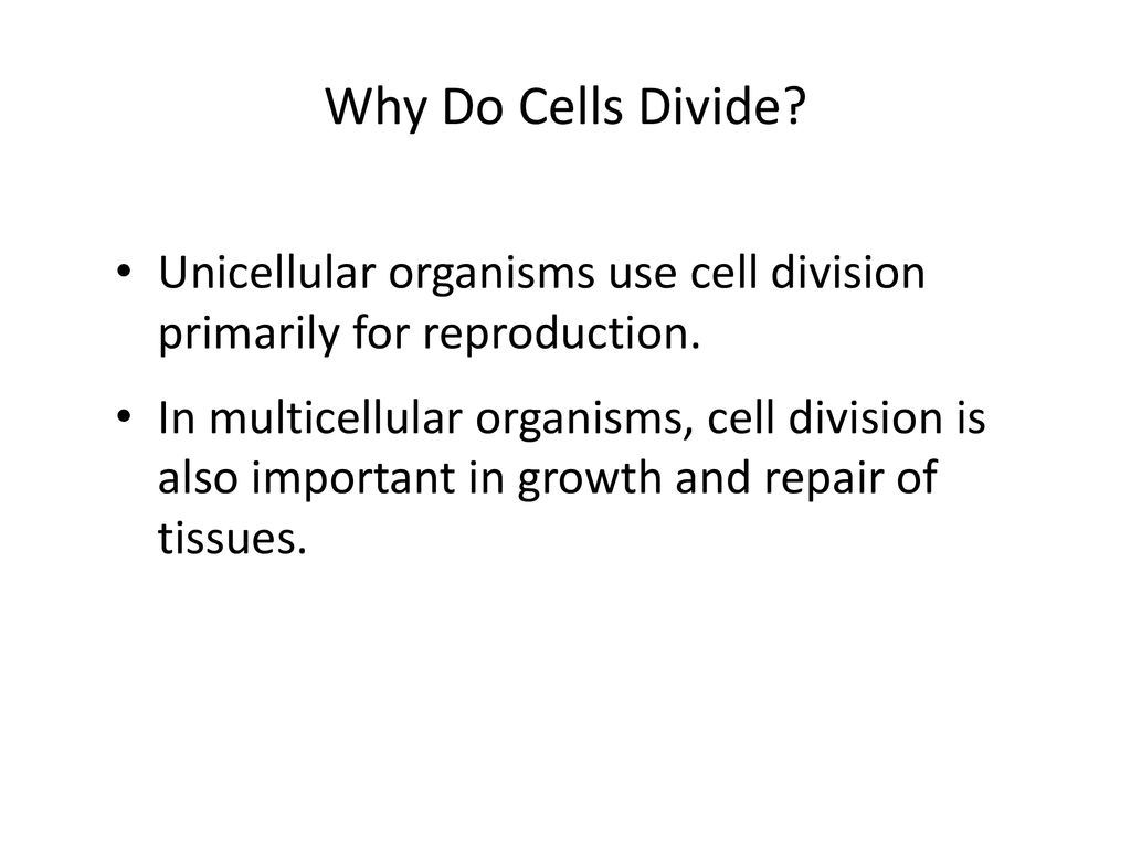 The Cell Cycle And Cell Division Ppt Download
