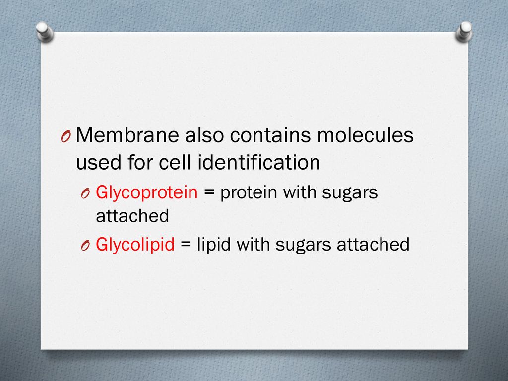 Biological Membranes Sections Ppt Download