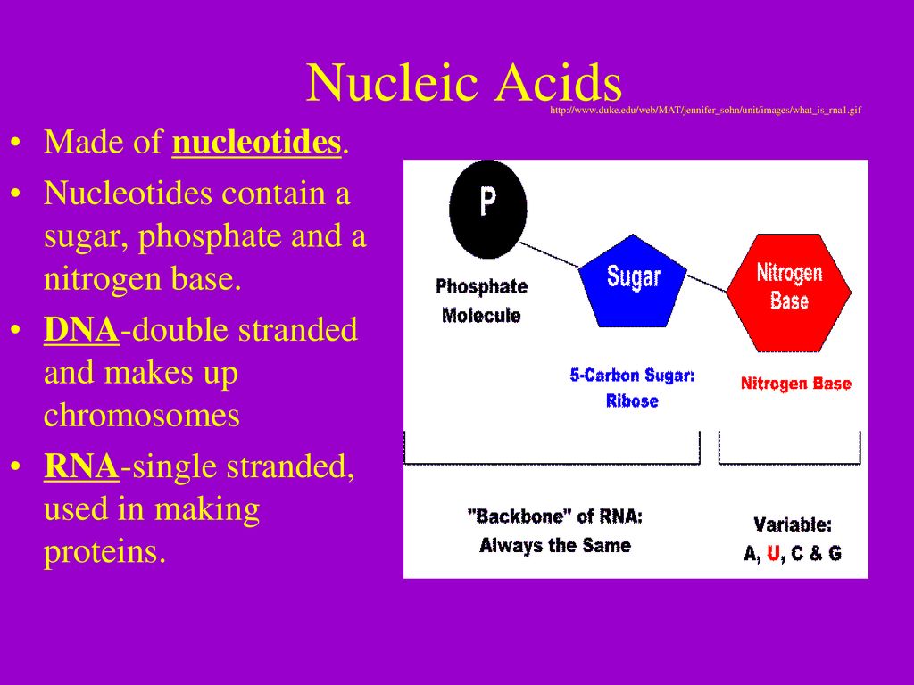 The Chemistry of Life ppt download