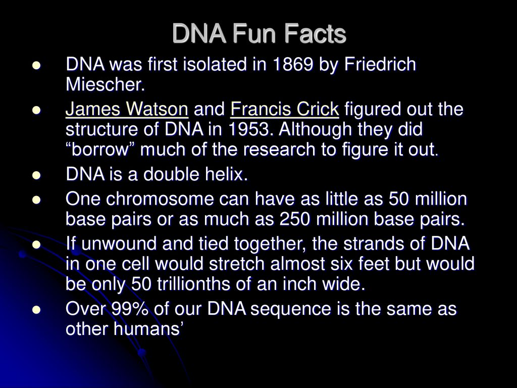 The Wonderful World of DNA - ppt download The Wonderful World of DNA - ppt download