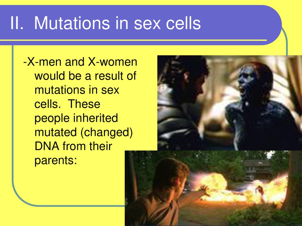 Catalyst Create A Circle Map About Mutations Mutations Ppt Download