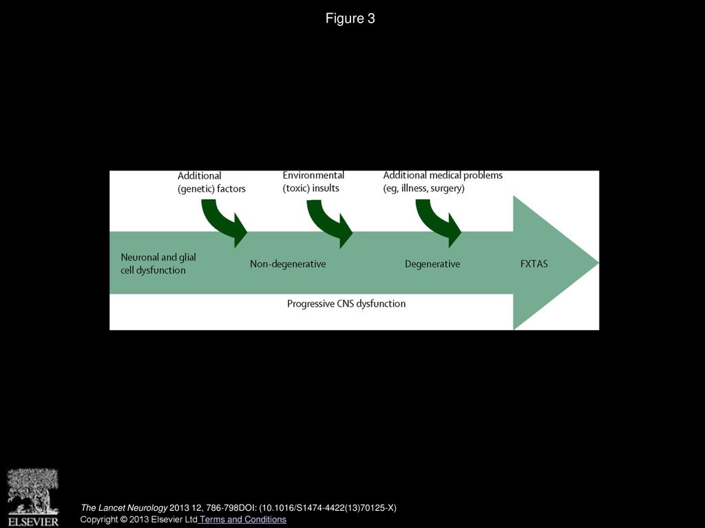 Advances In Clinical And Molecular Understanding Of The Fmr1