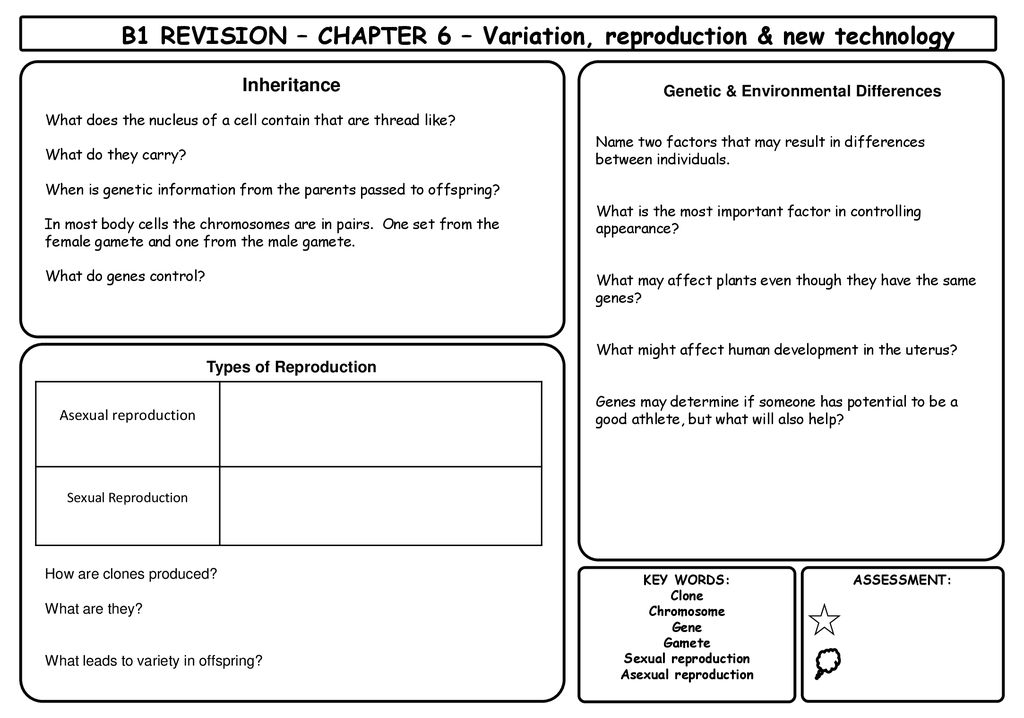 B1 Revision Chapter 1 Keeping Healthy Ppt Download