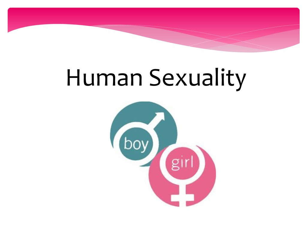 Human Sexuality Ppt Download