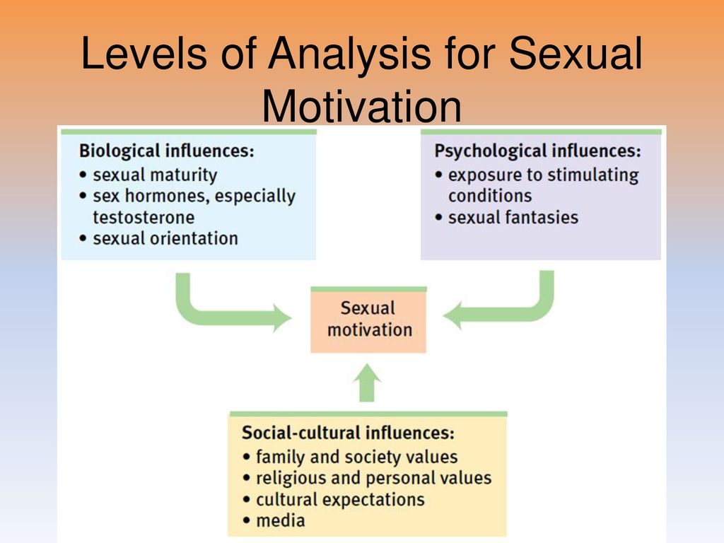 Sexual Motivation Ppt Download