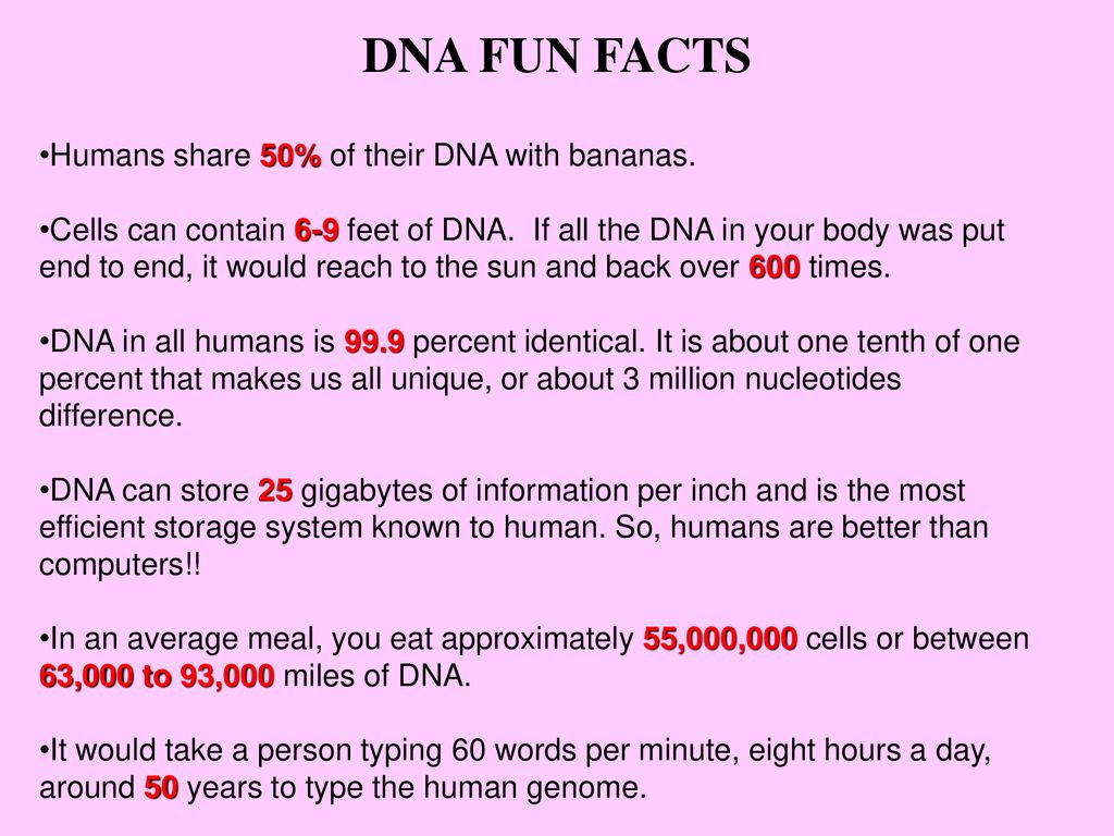 DNA Replication. - ppt download DNA Replication. - ppt download