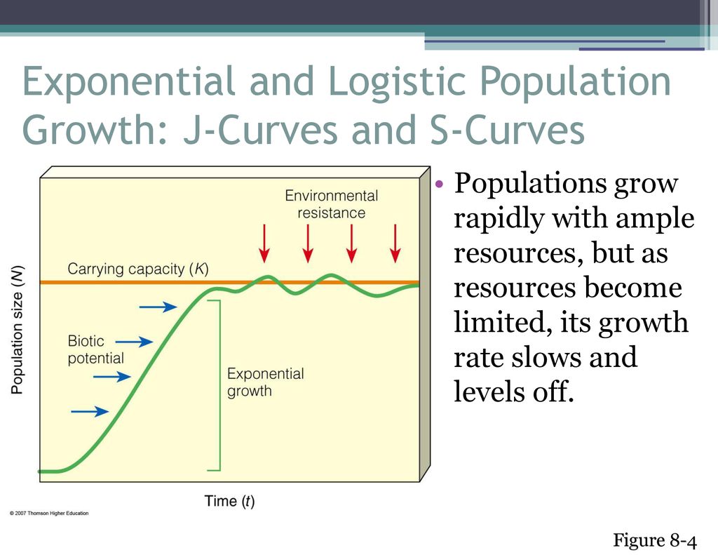 Population Review Notes Chapter 7 Ppt Download