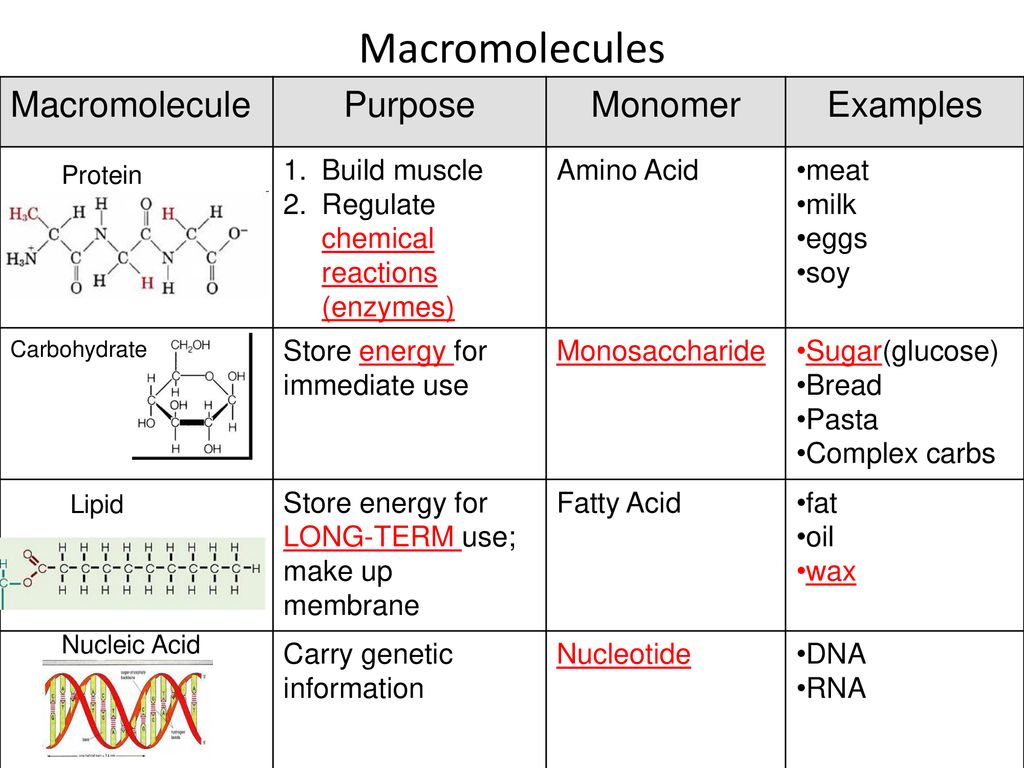 Macromolecules Examples Macromolecules Examples