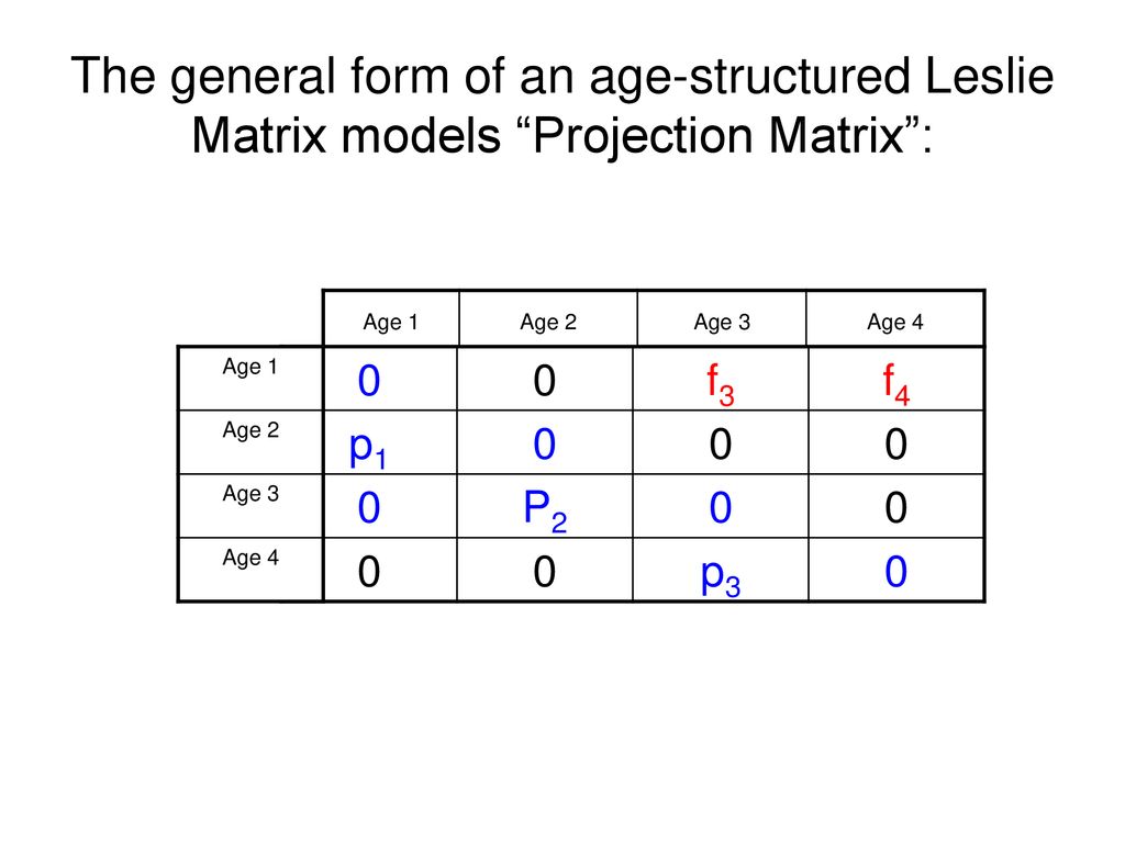 Matrix Population Models Ppt Download