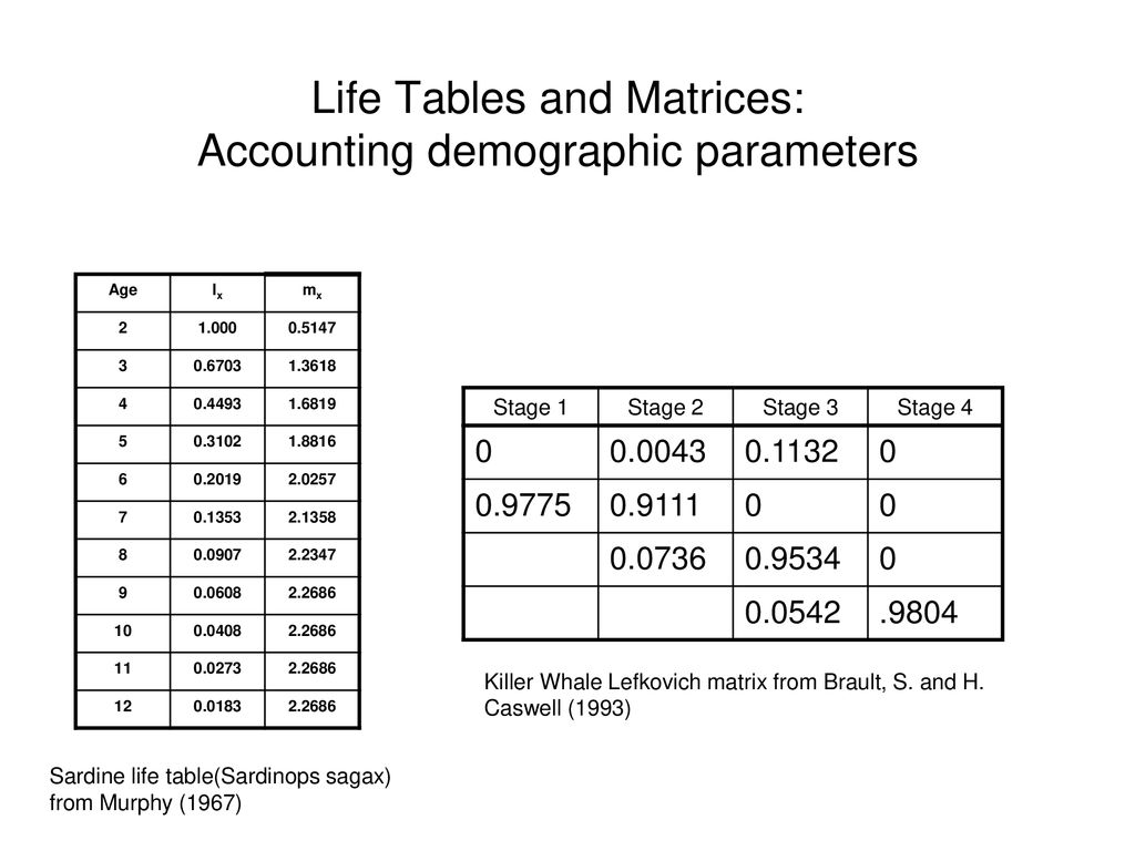 Matrix Population Models Ppt Download