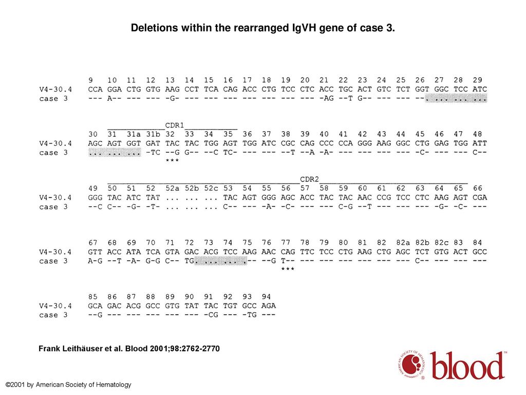 Isotype Switched Immunoglobulin Genes With A High Load Of Somatic