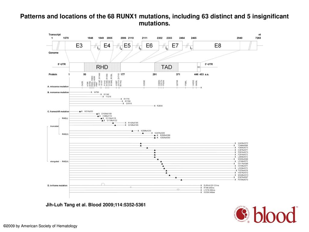 Aml1 Runx1 Mutations In 470 Adult Patients With De Novo Acute Myeloid