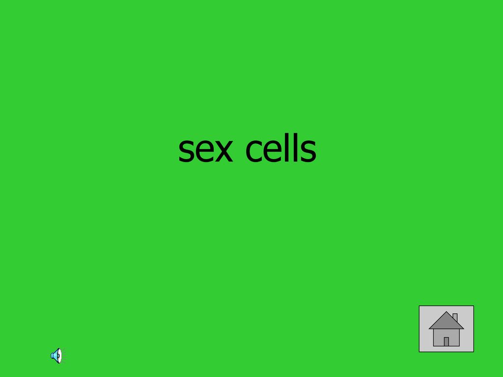 Jeopardy Test Review Game Ppt Download